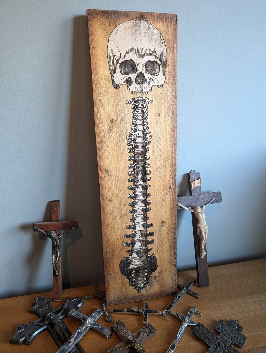 Spinal Cord and Skull – Vile Eight